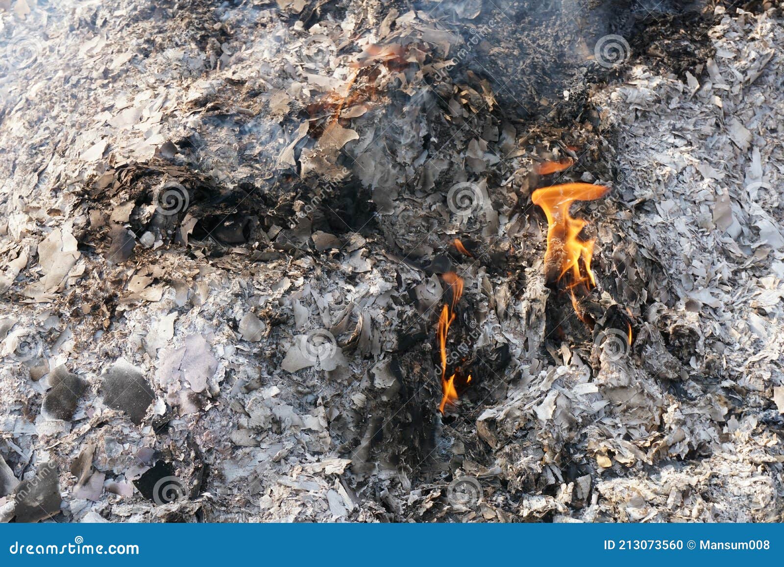 Fire on ash on the ground stock photo. Image of smoke - 213073560
