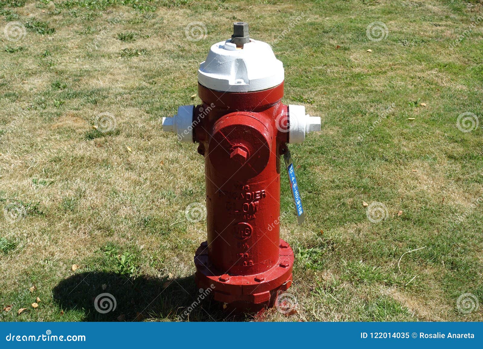 Close-up Fire Hydrant in Vancouver Editorial Image - Image of grass ...