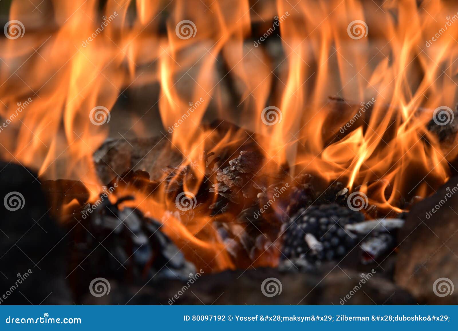 Close Up on a Fire with Pine Cones Stock Photo - Image of light, ember ...