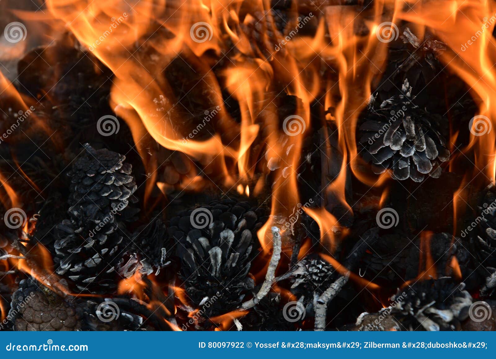 Close Up on a Fire with Pine Cones Stock Photo - Image of stove, night ...