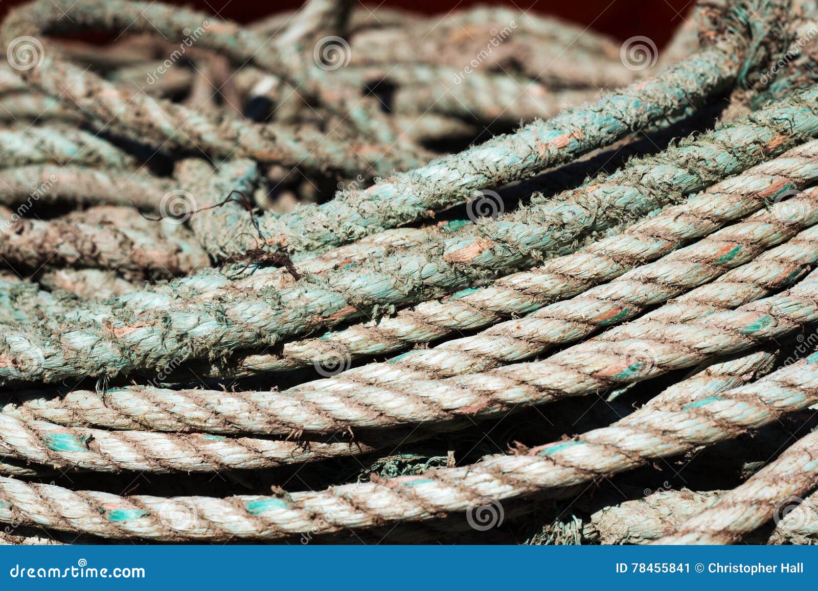 Close Up of Fishing Ropes Coiled Up Stock Image - Image of yachting ...
