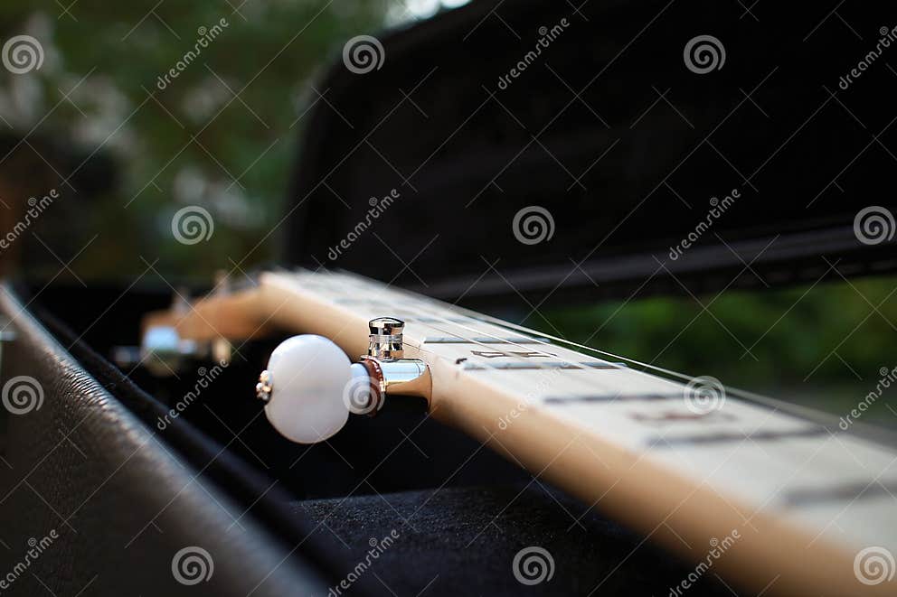 Five String Banjo Neck with Fifth String Peg Stock Image - Image of ...