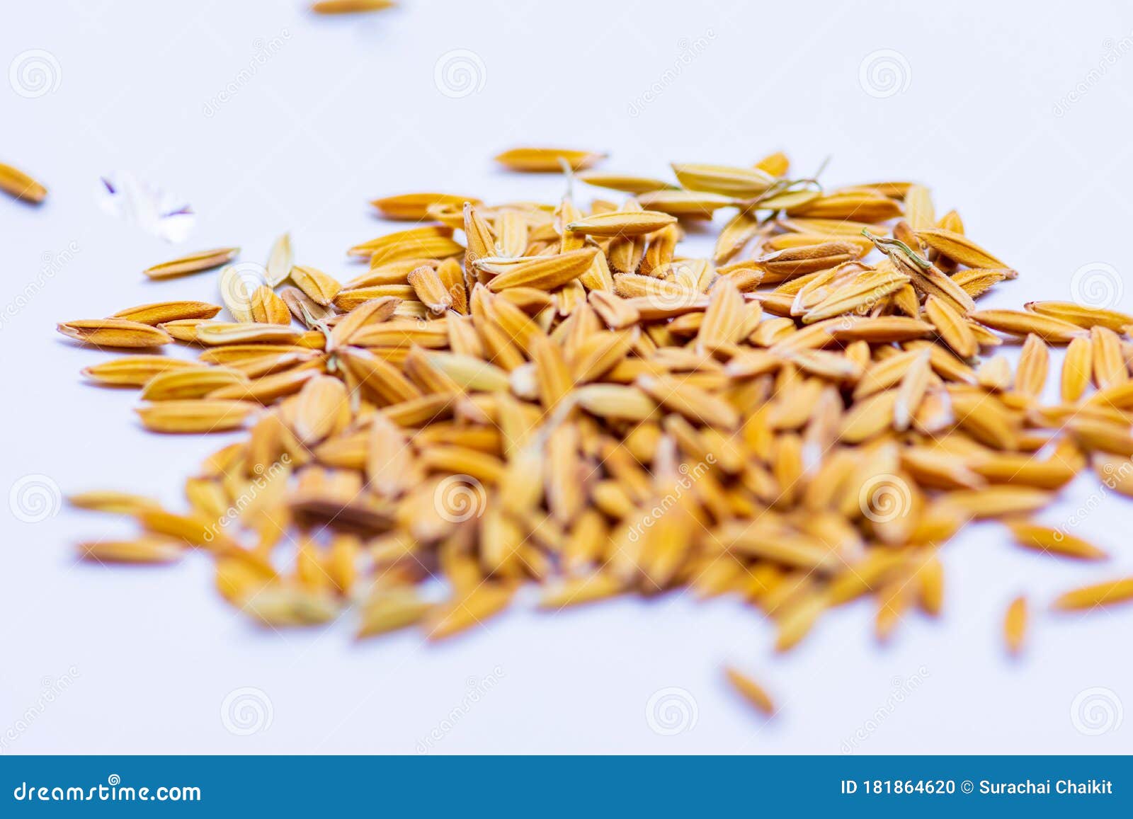 Close Up the Flavor Up the Wet Grain on the White Background Stock ...