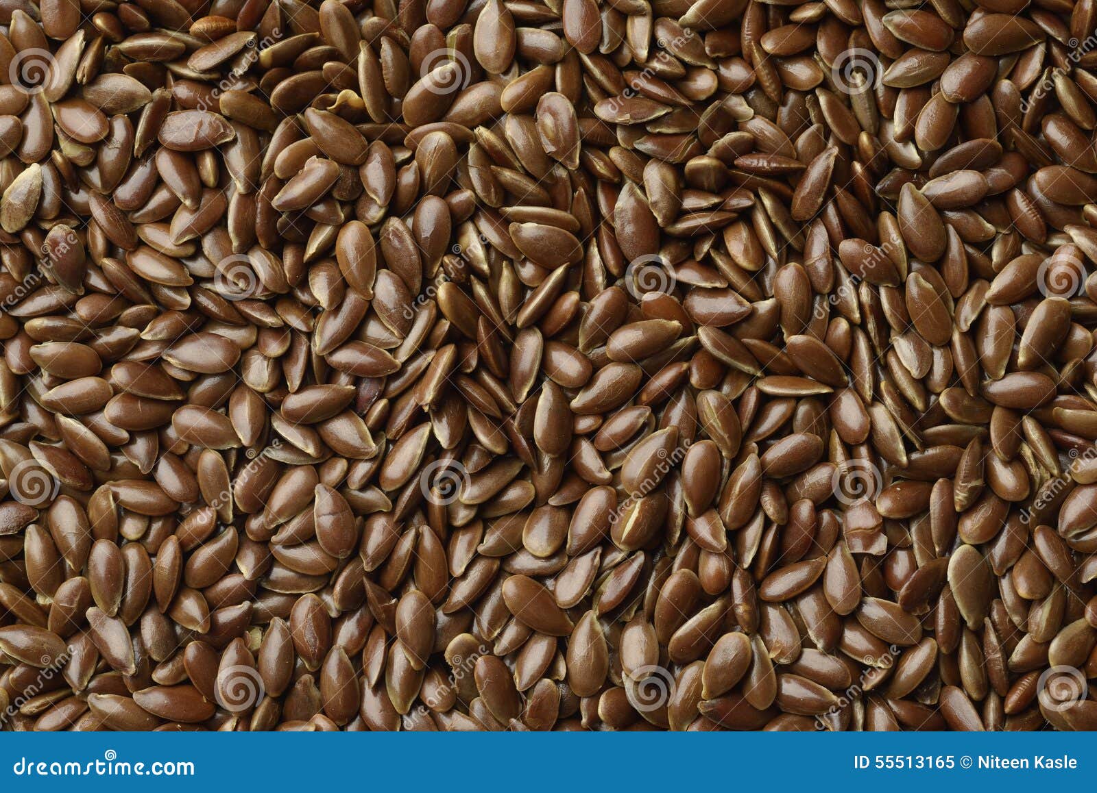 Flaxseed stock image. Image of protein, health, acid - 55513165