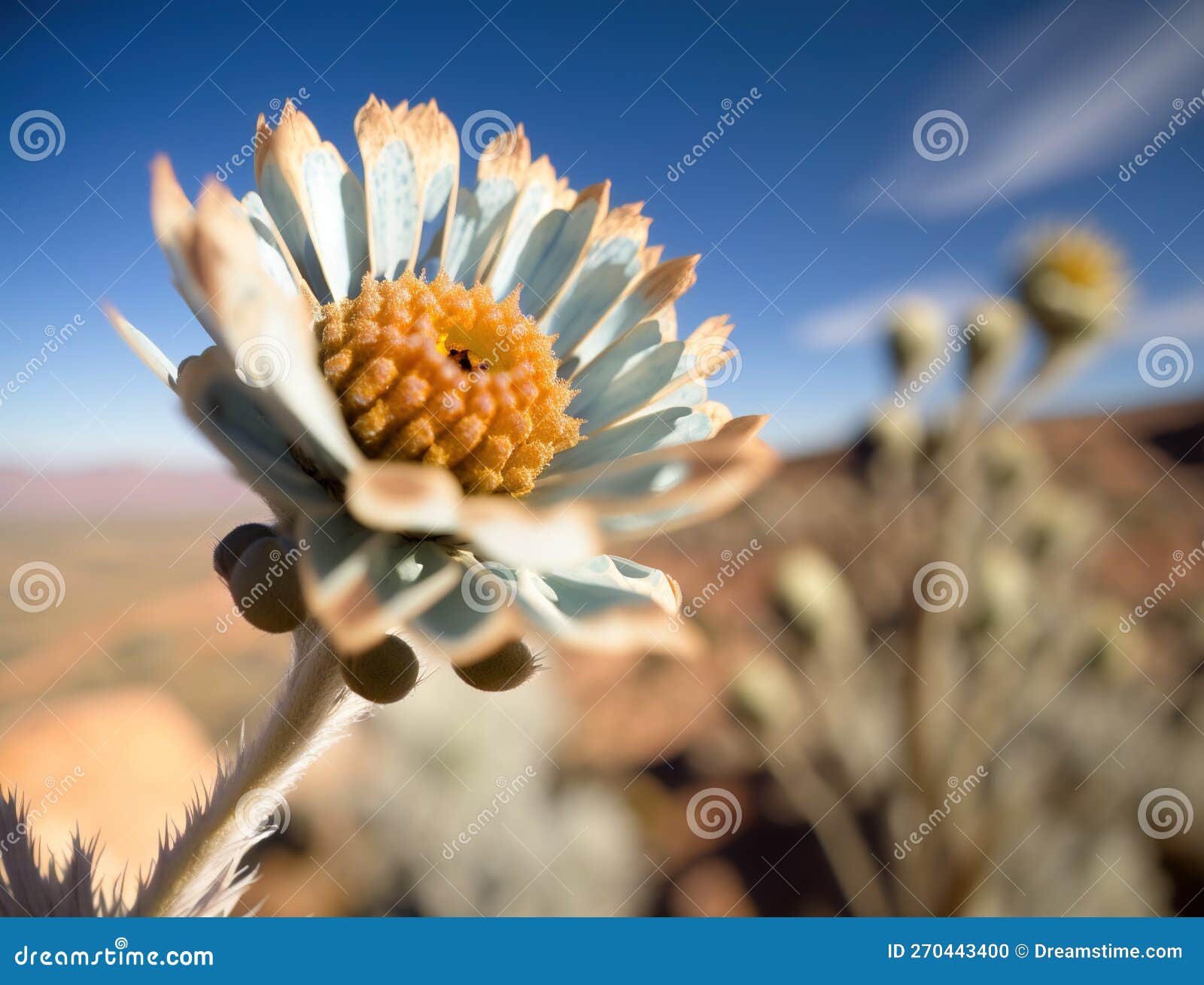 A Close Up of a Flower with a Sky in the Background. Stock Illustration ...