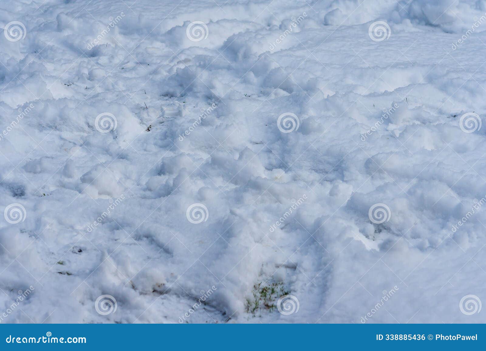 A Close-up of Fluffy, White Snow Covering the Ground, Featuring Various ...