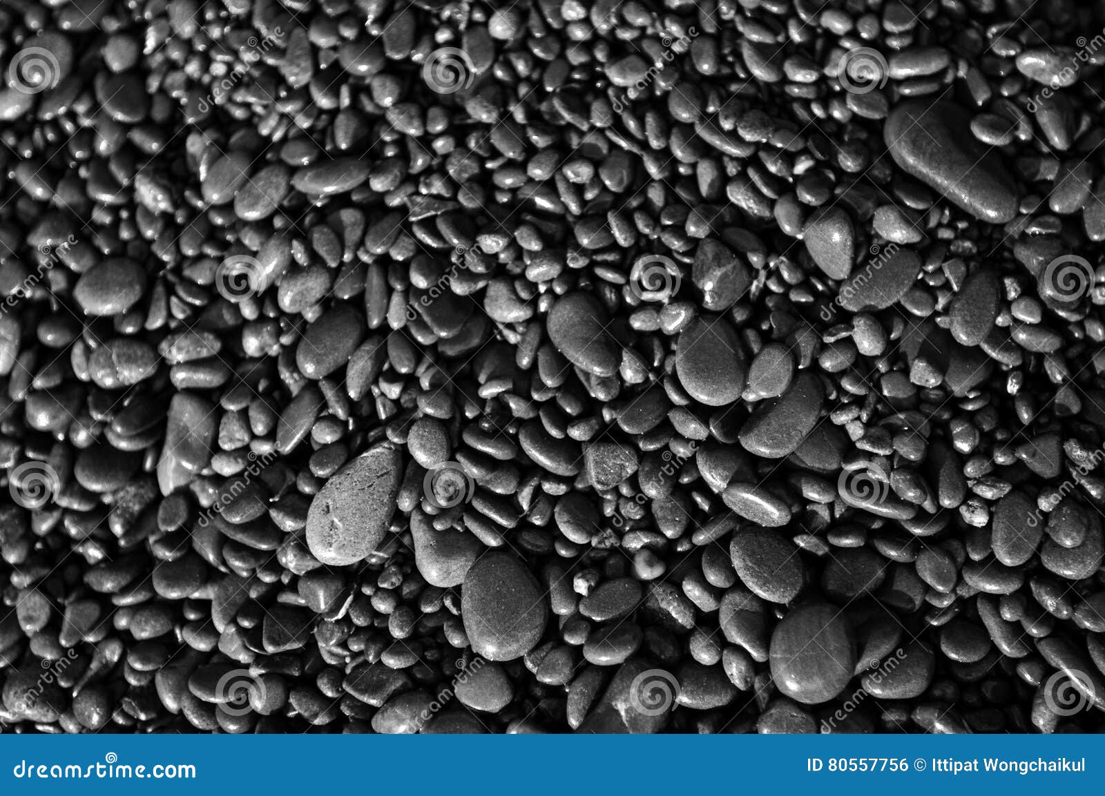 Close Up & Focus at Rock Grey Textured / Surface Stock Photo - Image of ...