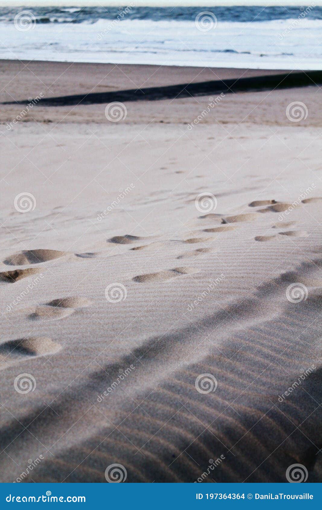 Foot Steps in the Sand on a Deserted Beach Stock Photo - Image of wind ...