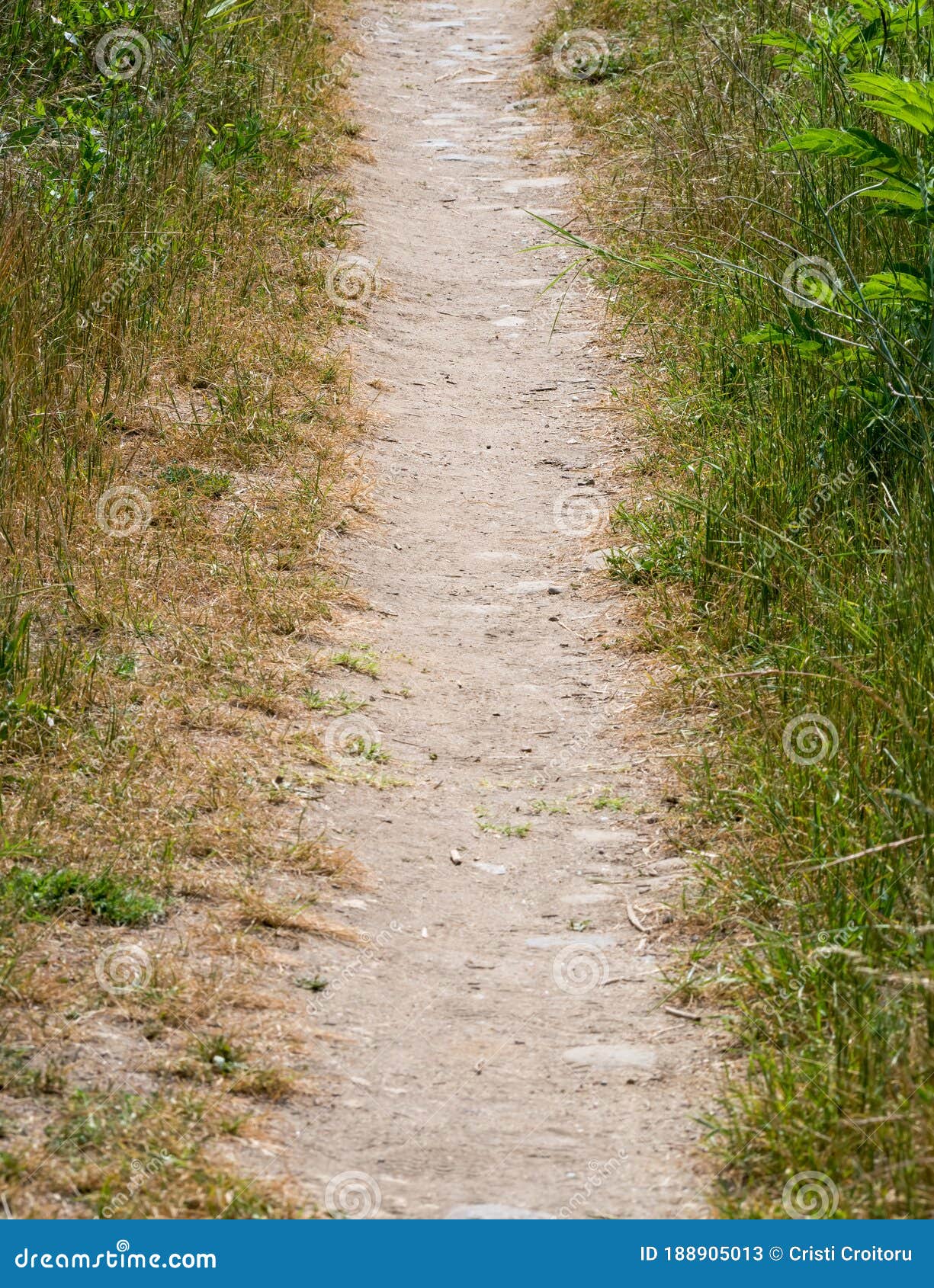 Close Up with a Footpath or a Pathway through Grass in Nature Stock ...