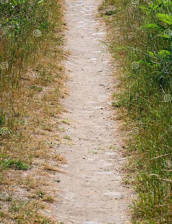 Close Up with a Footpath or a Pathway through Grass in Nature Stock ...