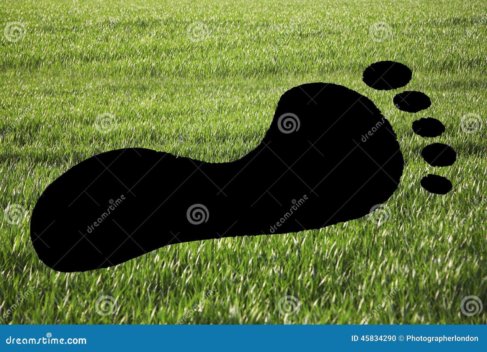 Close-up of Footprint on Grassy Landscape Stock Photo - Image of ...
