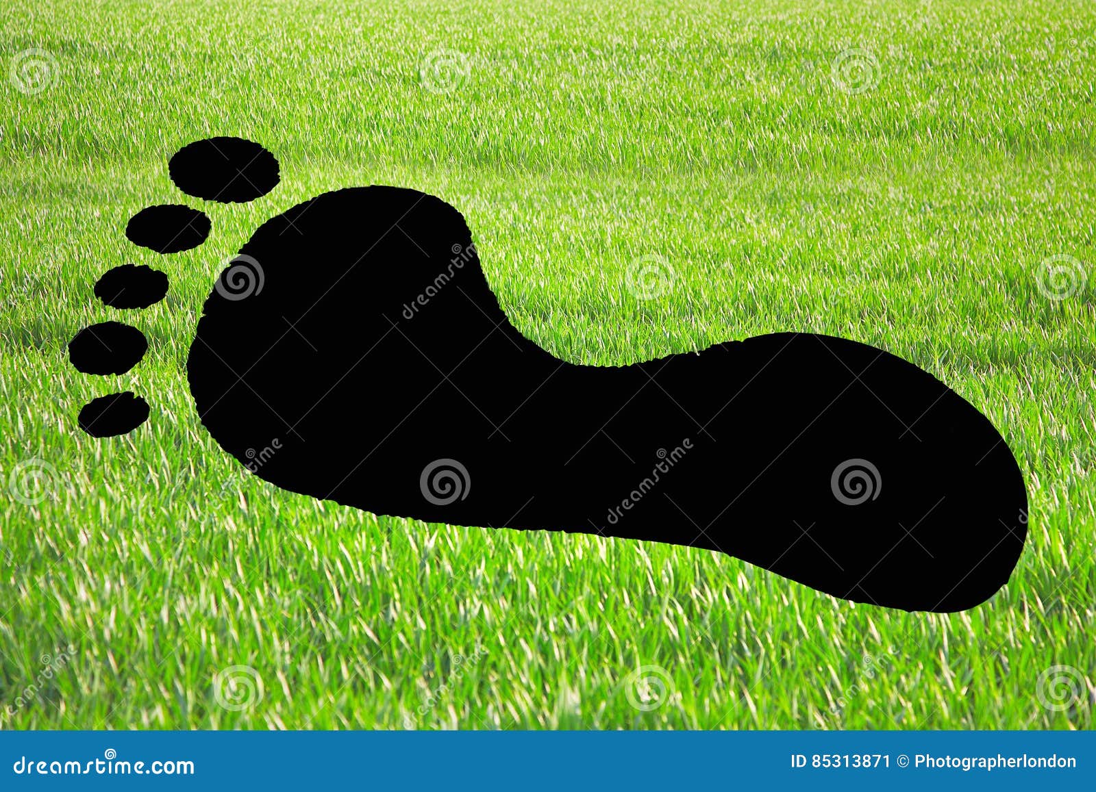 Close-up of Footprint on Grassy Landscape Stock Image - Image of ...