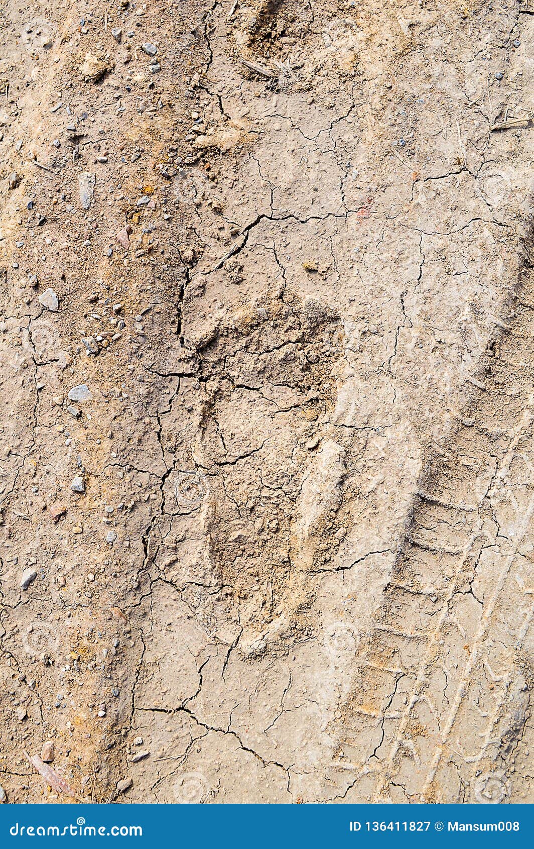Footprint on the ground stock image. Image of natural - 136411827