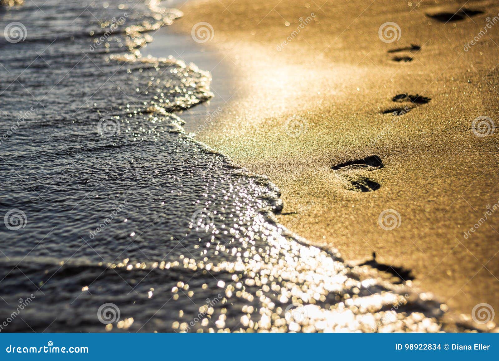 Close Up of Footprints in the Sand at Sunset Stock Photo - Image of ...