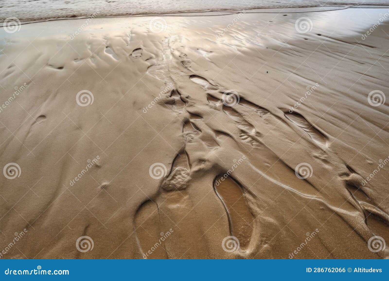 Close-up of Footprints in Wet Beach Sand Stock Photo - Image of ...