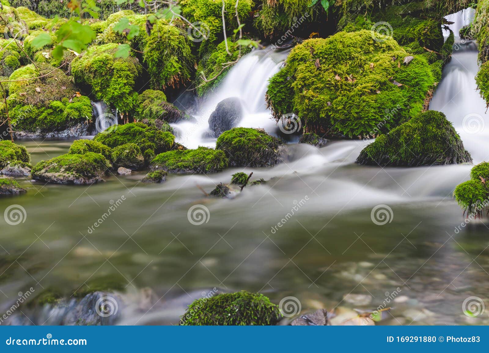 Close Up of Forest Brook. Cascade Falls Over Mossy Rocks. Long Exposure ...