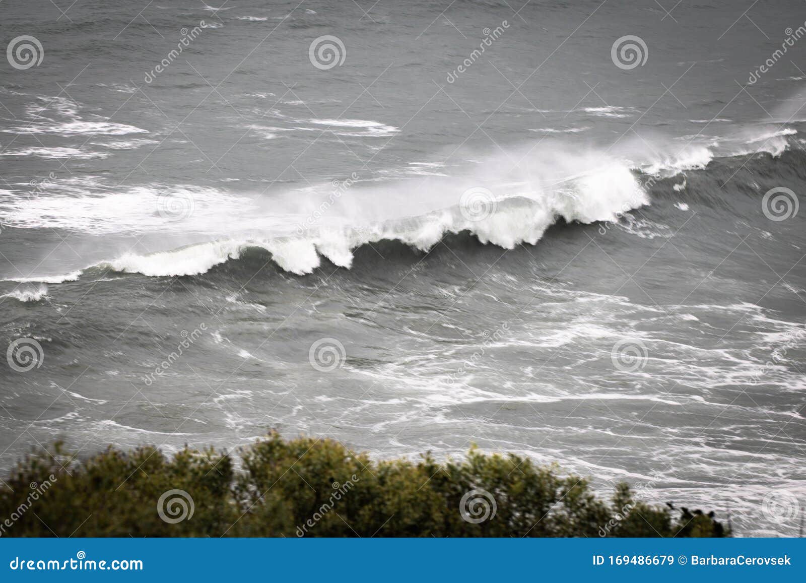 Close Up of Forming Waves in Atlantic Ocean Stock Image - Image of ...