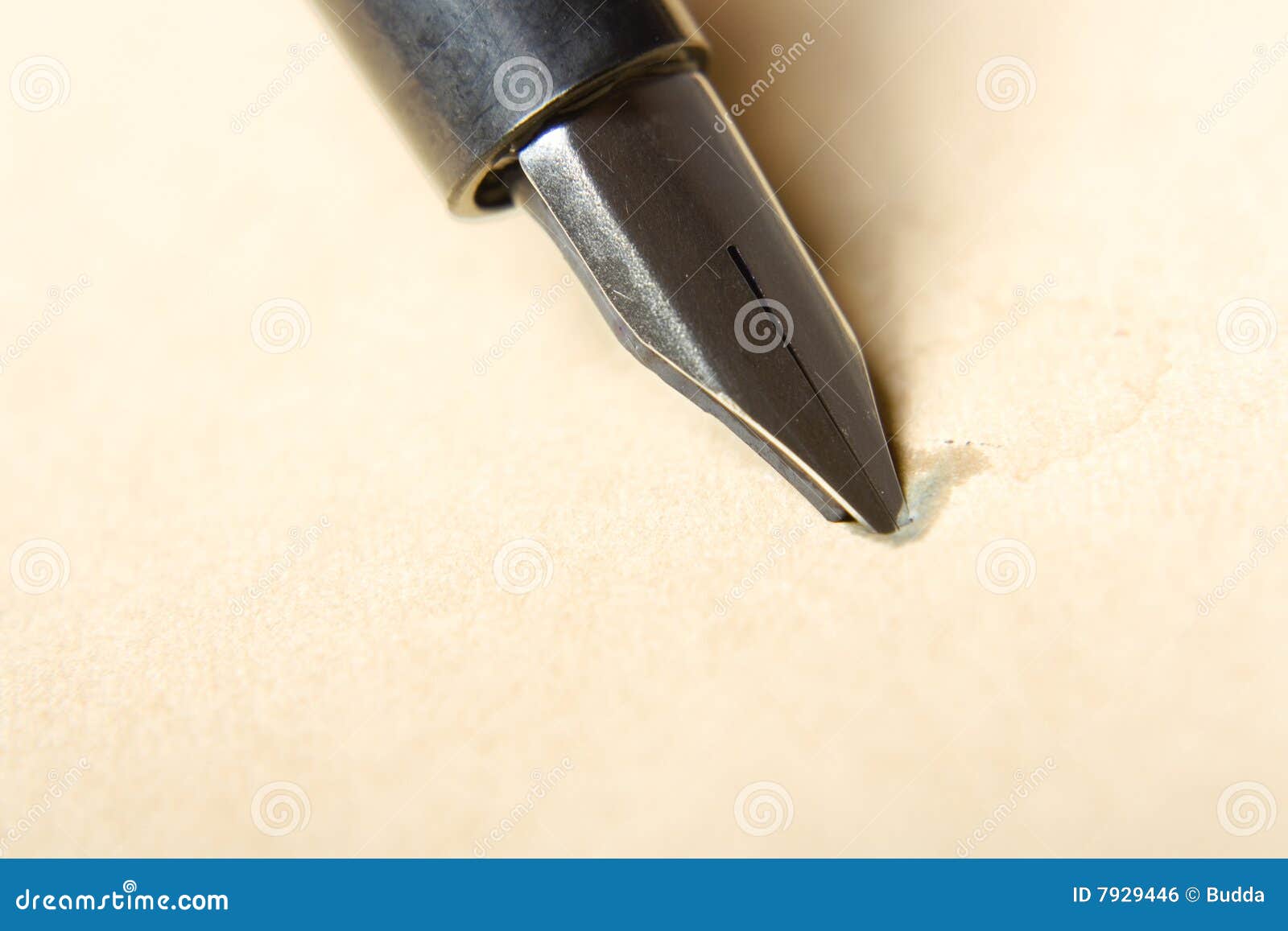 Close-up Of A Fountain Pen Picture. Image: 7929446