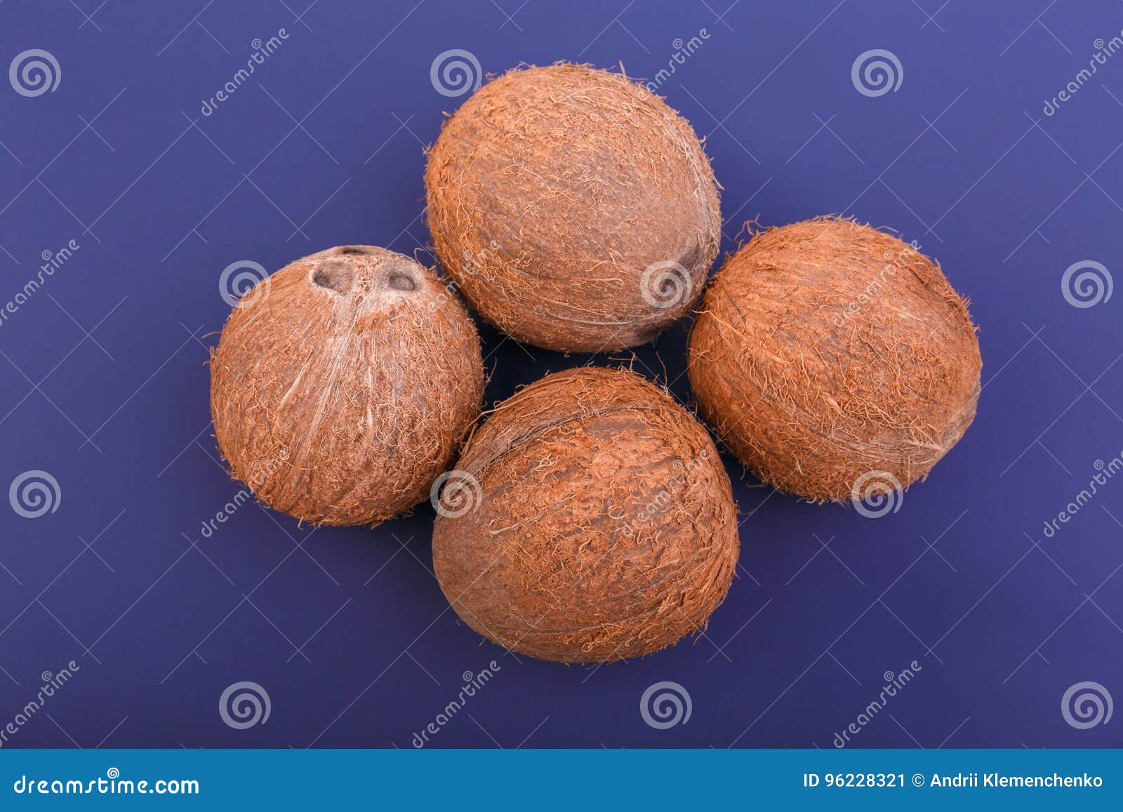 Close-up of Four Hard and Brown Coconuts on a Dark Purple Background ... Close-up of Four Hard and Brown Coconuts on a Dark Purple Background ...