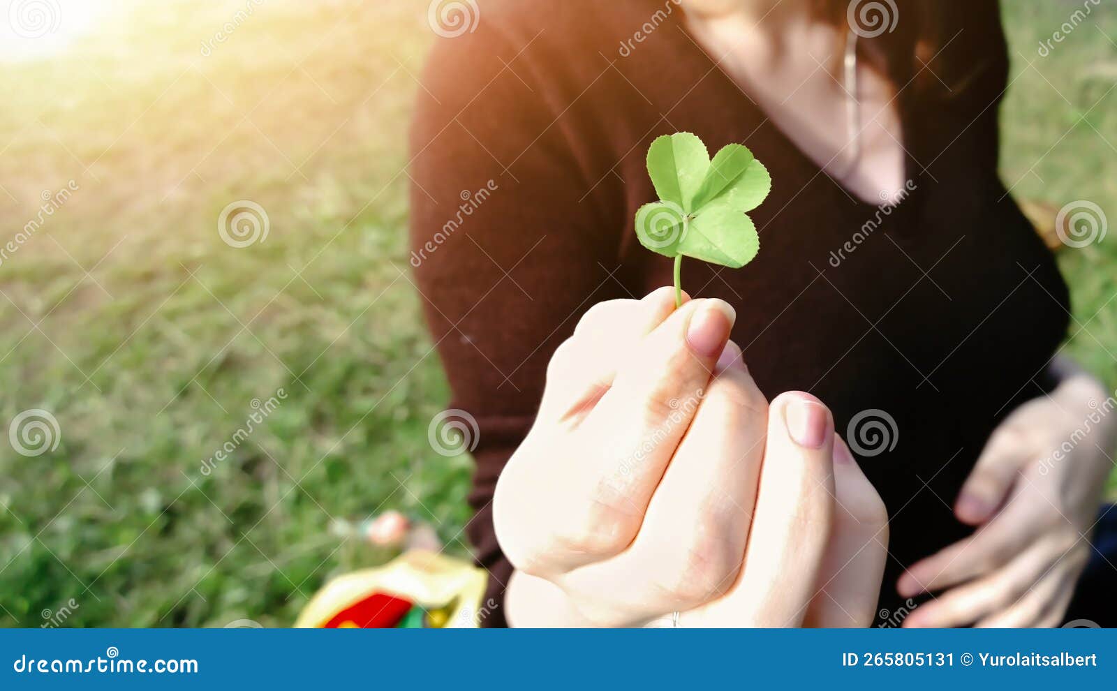 Four-leaf Clover in the Hands of the Ecologist. Stock Image - Image of ...