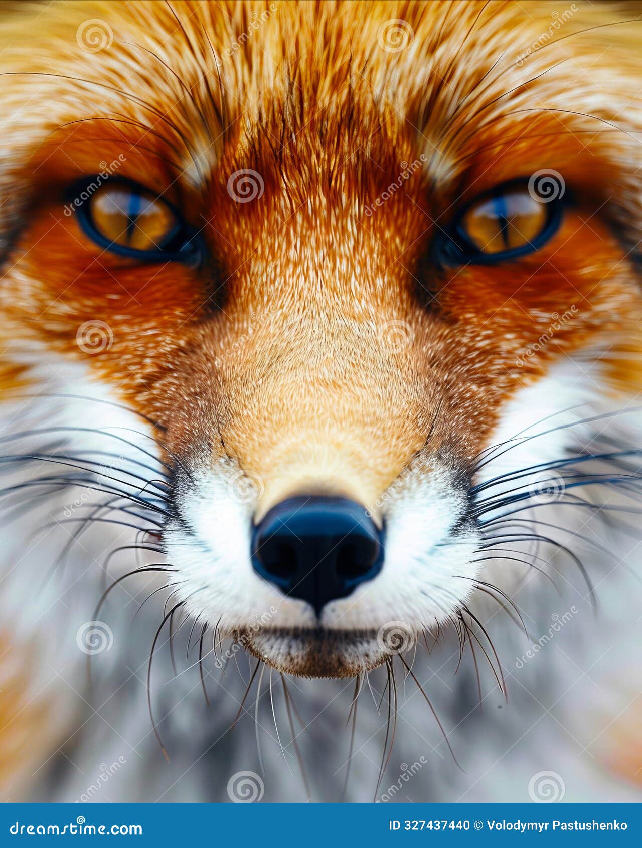A close up of a fox s face stock photo. Image of generated - 327437440