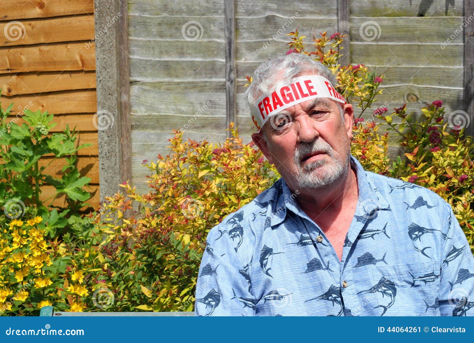 Close Up of a Fragile Senior Man. Stock Image - Image of senior ...