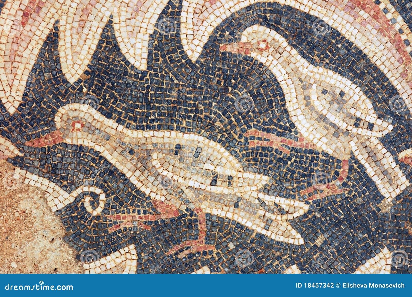 Close Up of Fragment of Antique Mosaic Stock Photo - Image of indoors ...