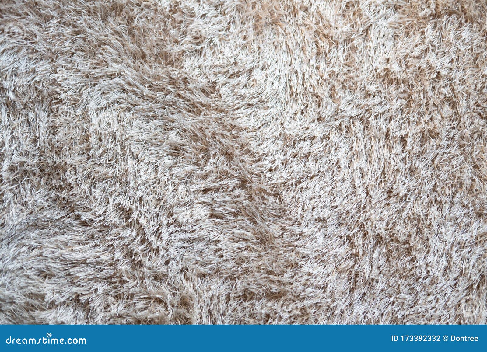Close Up Fragment White Wool Carpet Stock Photo - Image of hair, carpet ...