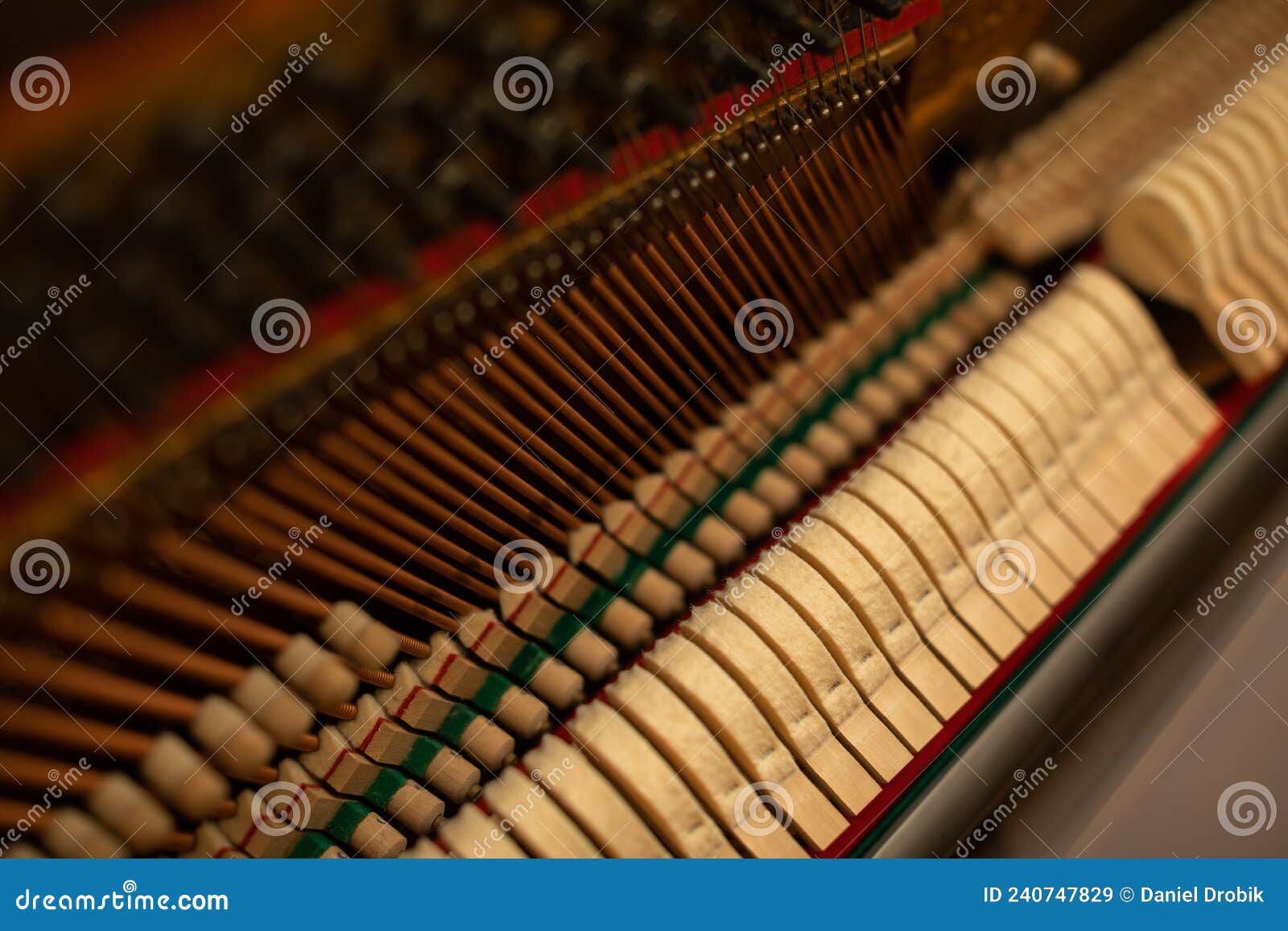 A Close-up View Inside All the Strings of the Piano. Stock Image ...