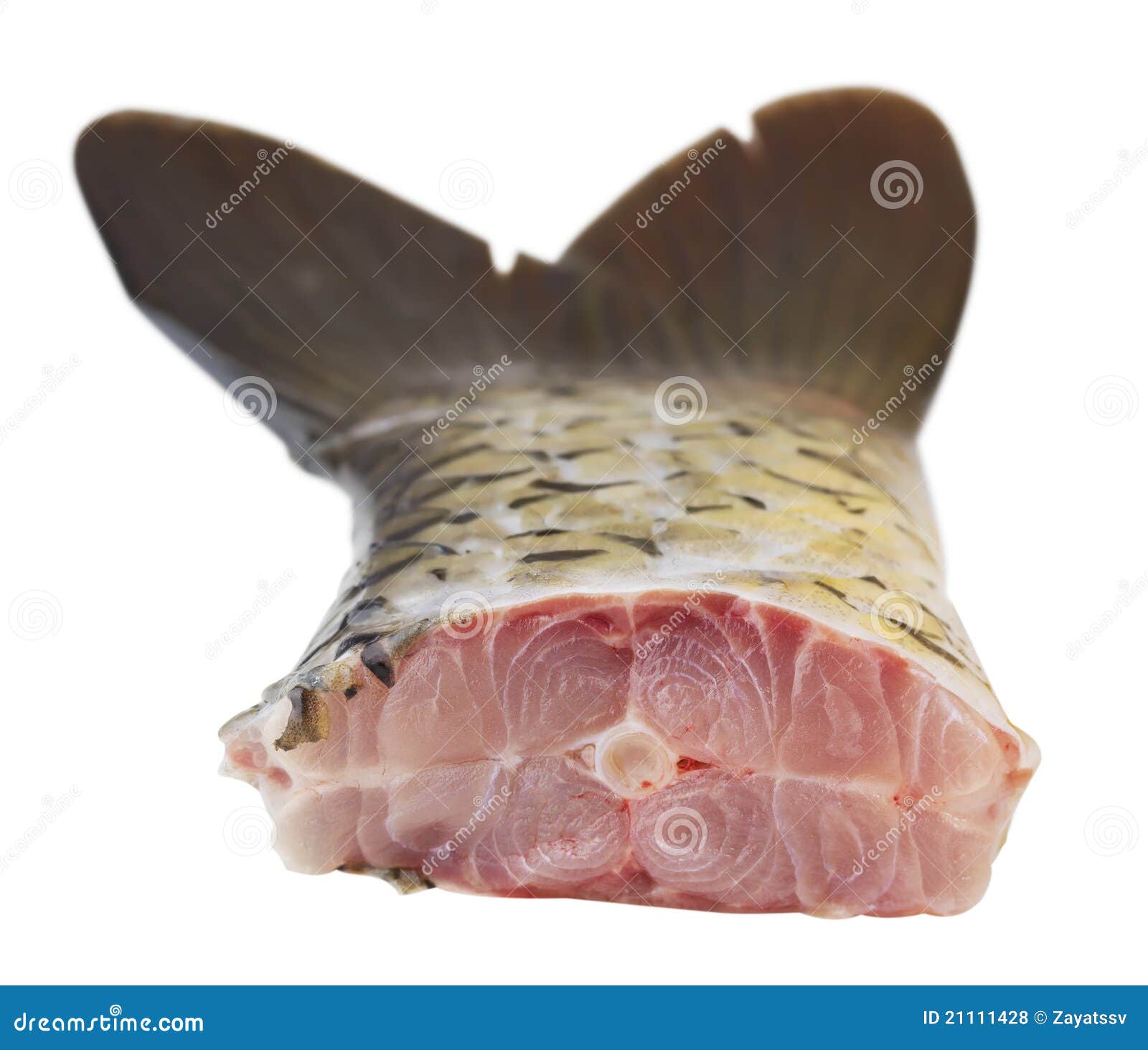 Close Up Fresco Da Cauda Dos Peixes Da Carpa Foto de Stock - Imagem de ...