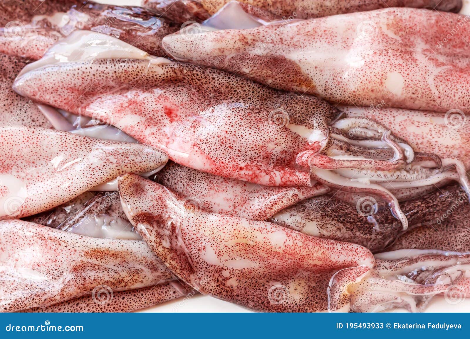 Close Up of Fresh Ancooked Squids. Top View. Seafood Concept Stock ...