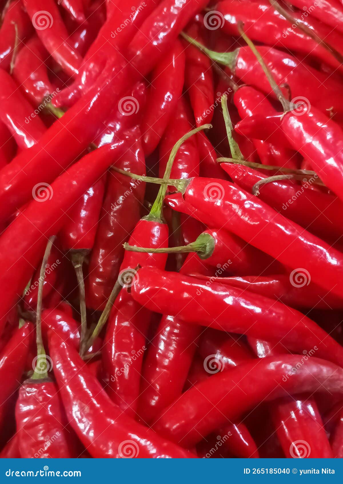 Close Up Fresh Big Red Chili Stock Photo - Image of capsicum, healthy ...