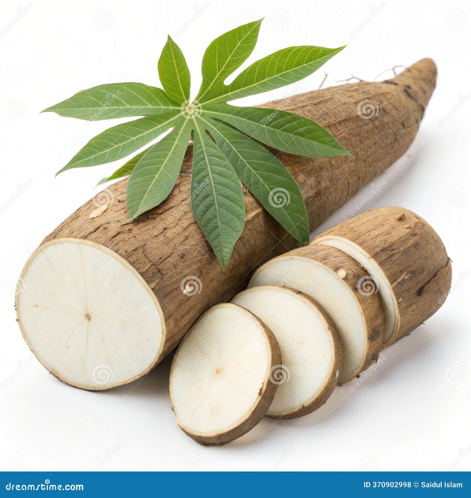 Cassava Root With Vitamin C And Minerals Cartoon Vector | CartoonDealer ...