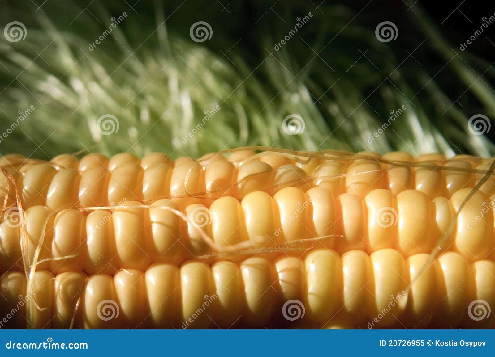 Close-up fresh corn stock image. Image of delicious, concept - 20726955