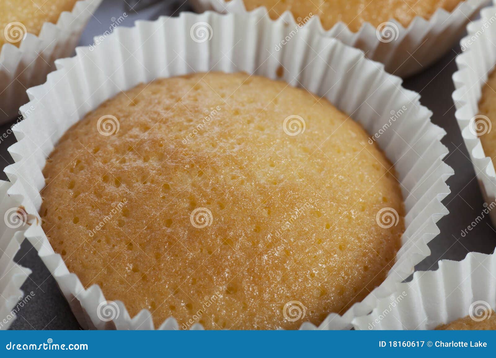 Close Up of Fresh Cupcake stock image. Image of undecorated - 18160617