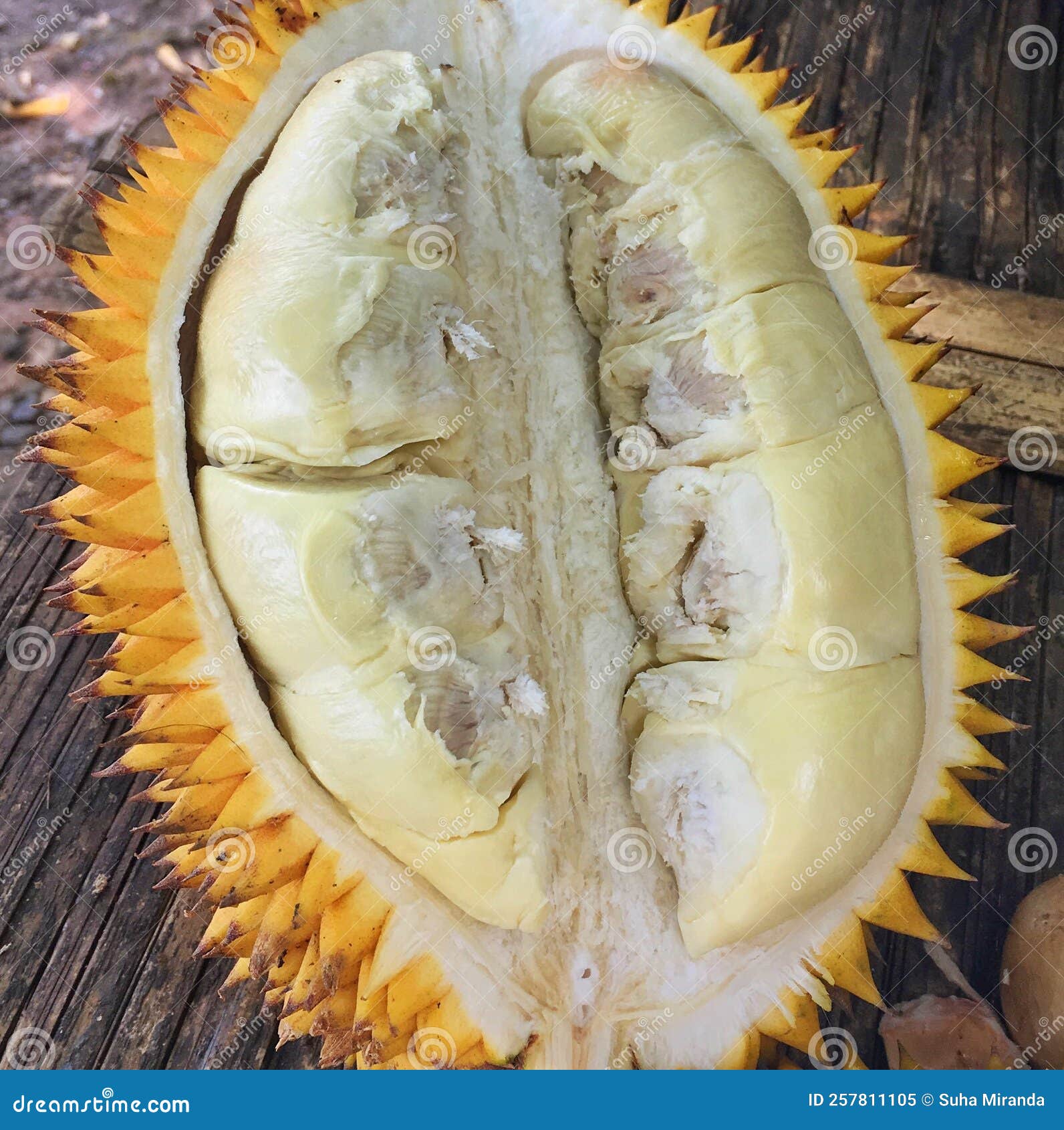 Close Up Fresh Durian Fruit Cut in Half on Wooden Table Stock Image ...