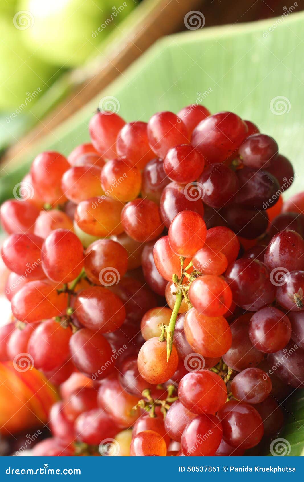 Close Up Fresh Fruit Grape at the Market. Stock Image - Image of ...