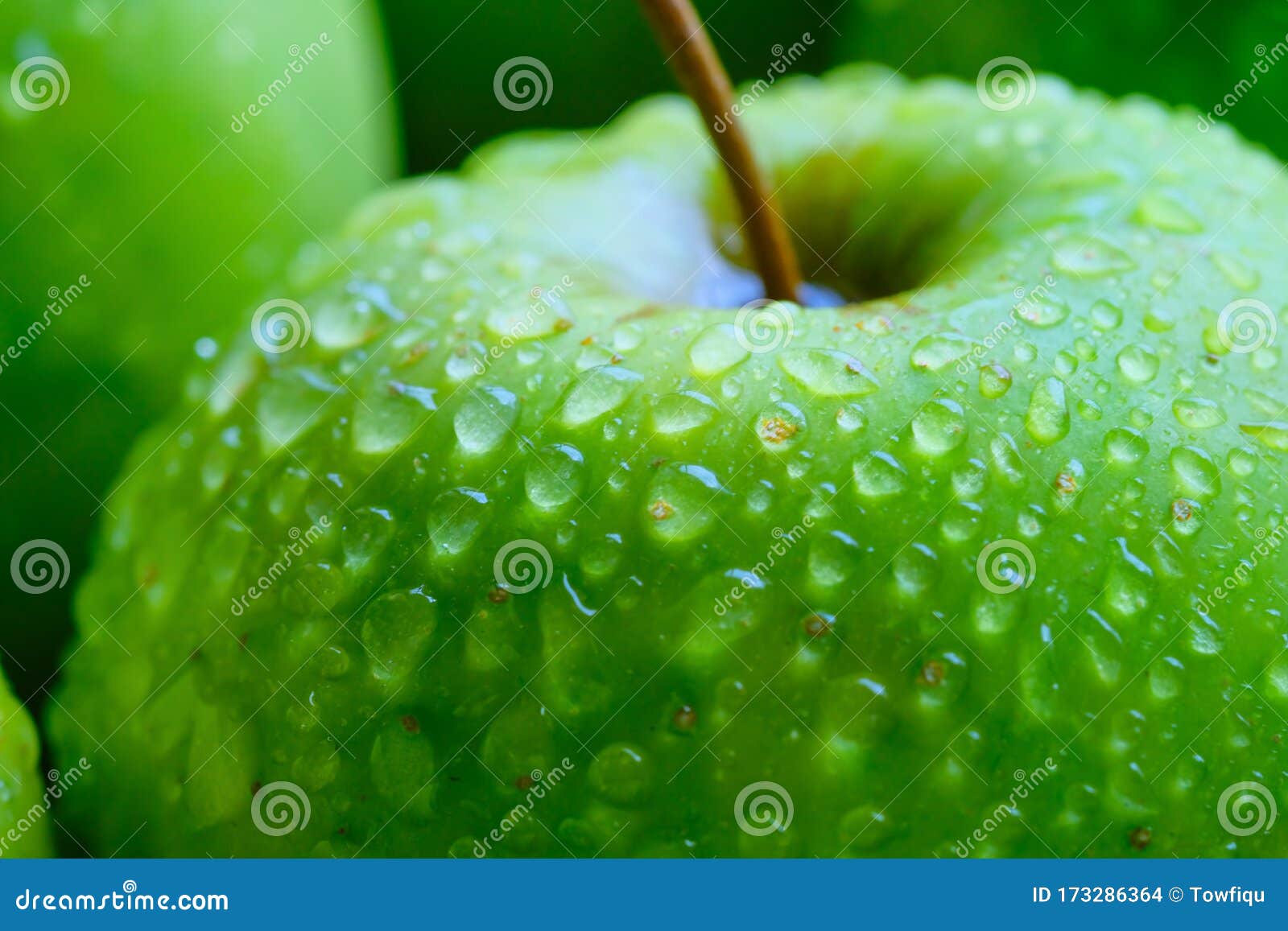Close Up of Fresh Green Apple with Water Drops Stock Photo - Image of ...