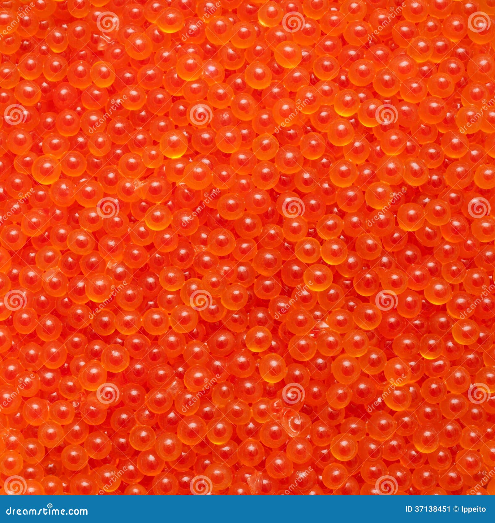 Close-up of Fresh Japanese Salmon Roe Caviar Stock Image - Image of ...