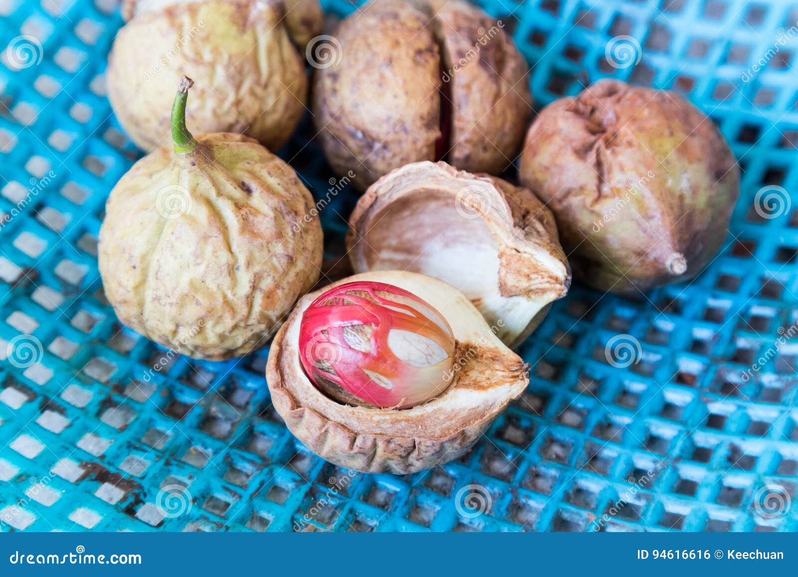 Close-up of Fresh Nutmeg Fruit with Mace Seed Stock Photo - Image of ...