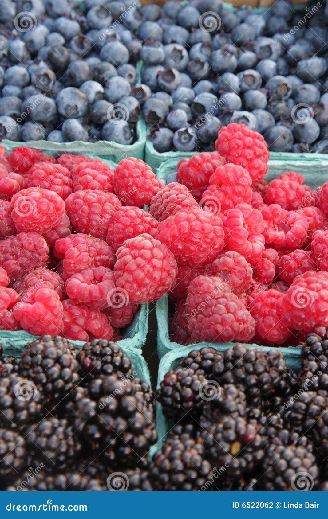 Close-up of Fresh, Organically Grown Berries Stock Photo - Image of ...