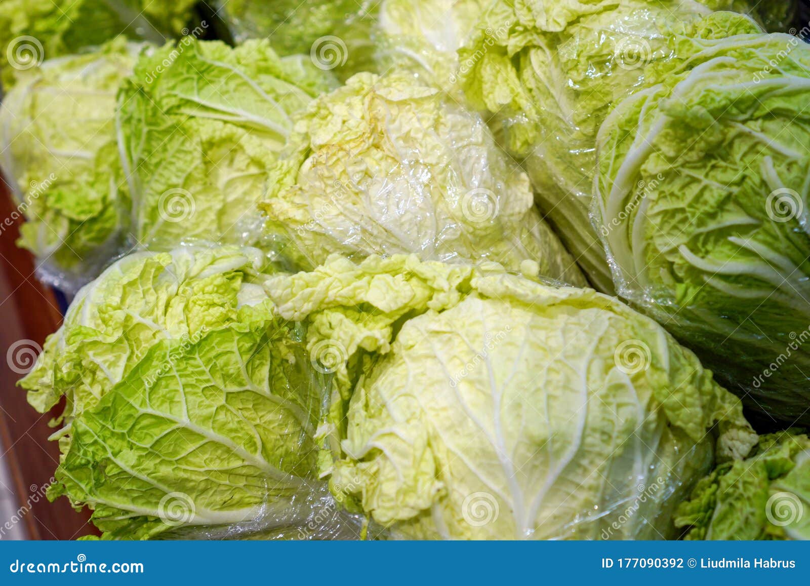 Close-up of Fresh Peking Cabbage on the Market Stock Photo - Image of ...