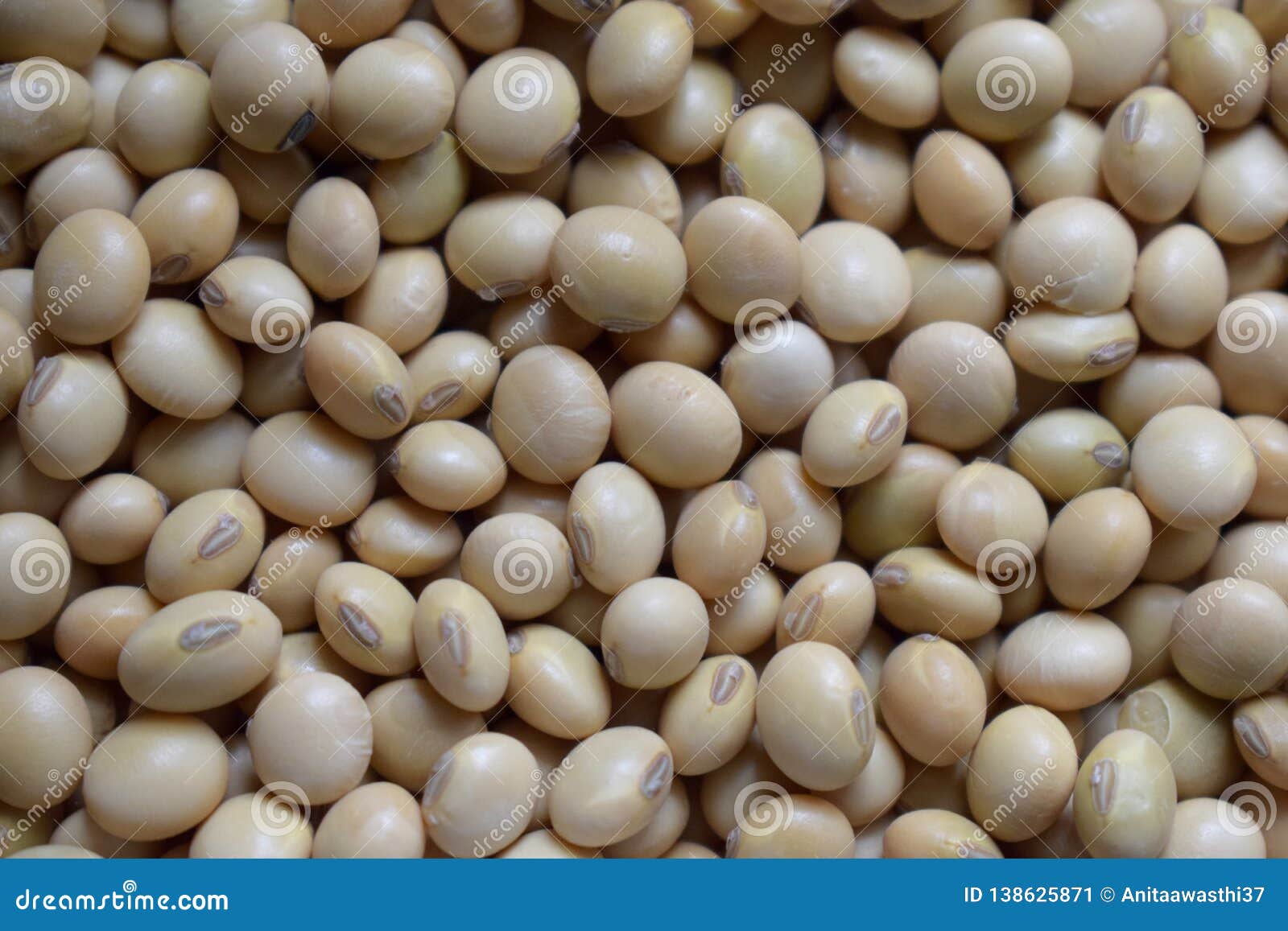 Close up of a fresh Pulses stock image. Image of close - 138625871