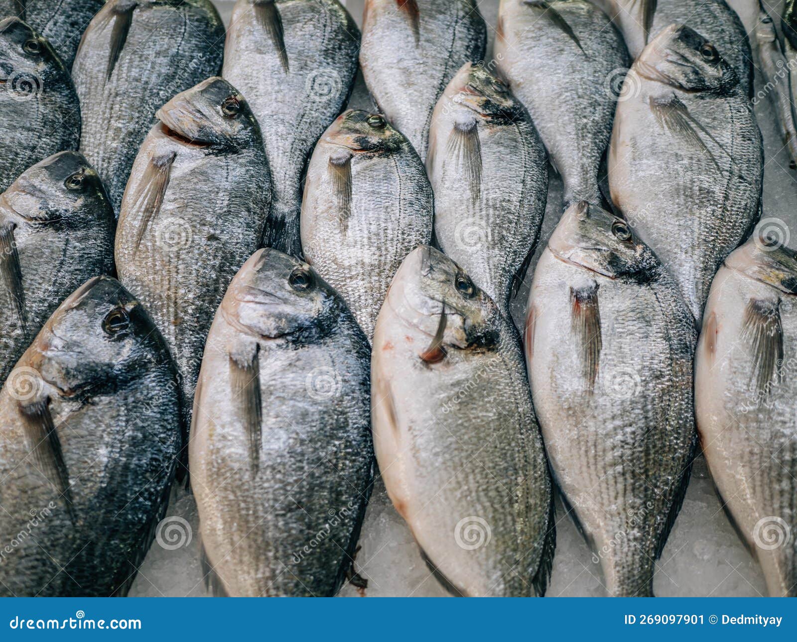 Close-up of Fresh Raw Fish in Ice on Counter in Grocery Store Stock ...