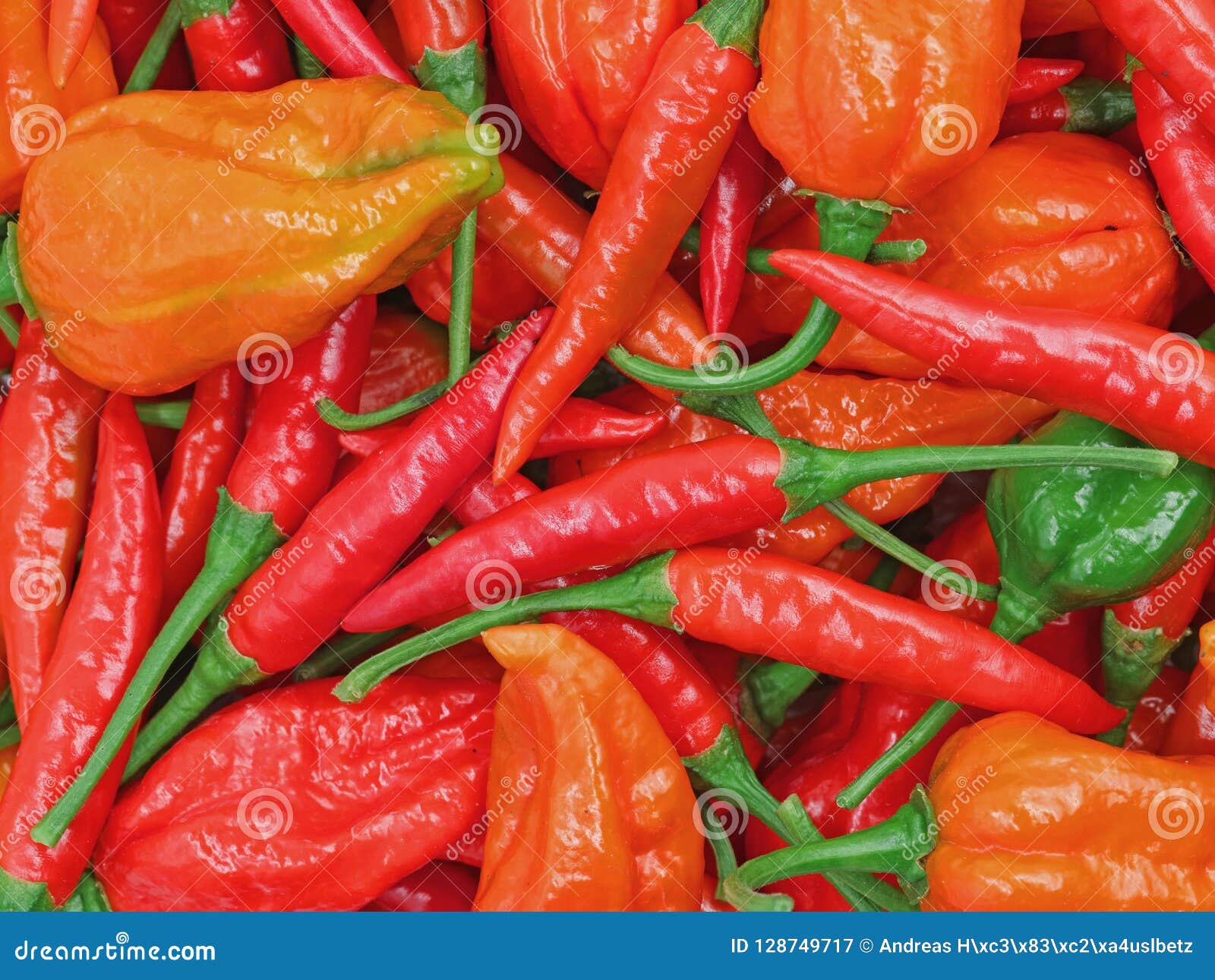 Close Up of Fresh Red Hot Chili Peppers Stock Image - Image of ...