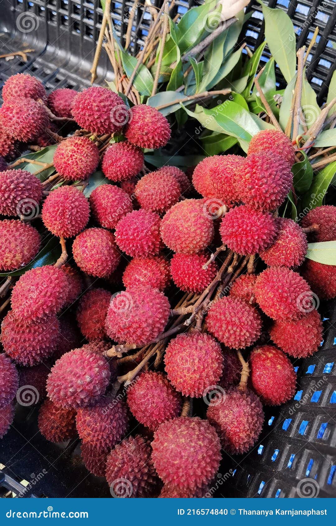 Close Up of Fresh Red Lychee Fruits Stock Photo - Image of dessert ...