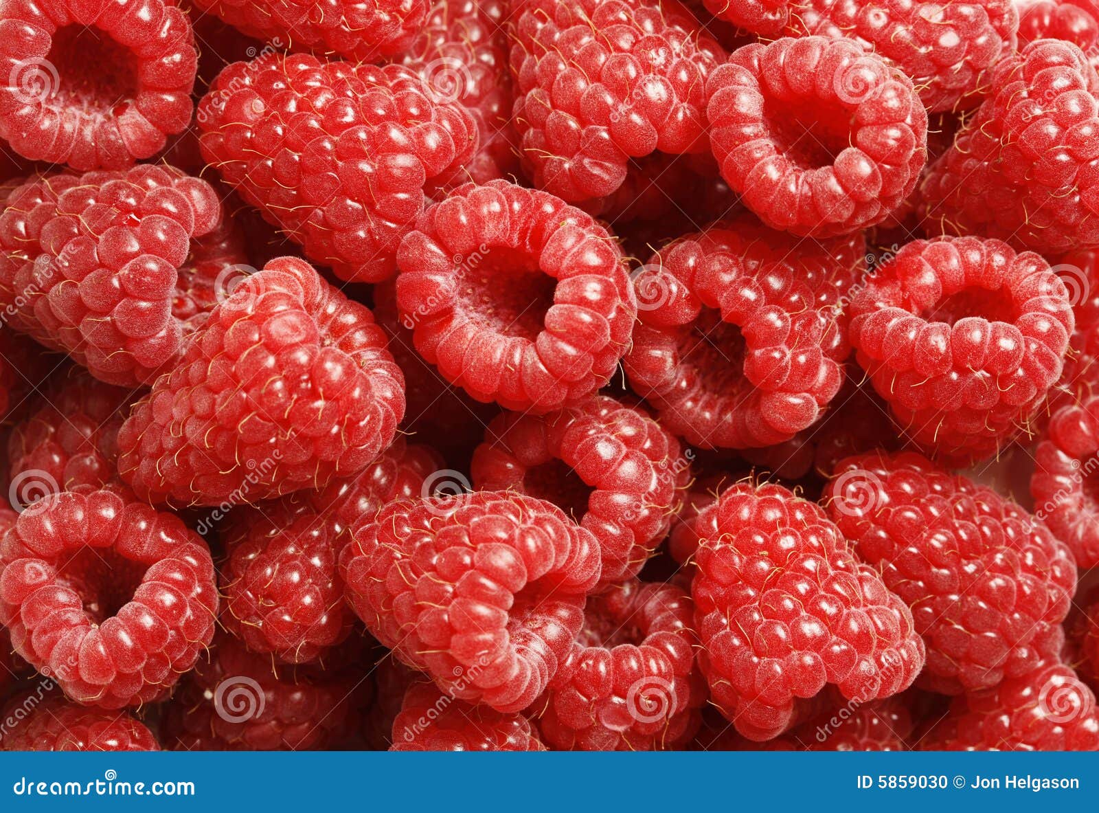Close-up of Fresh Red Raspberries Stock Photo - Image of fruit ...
