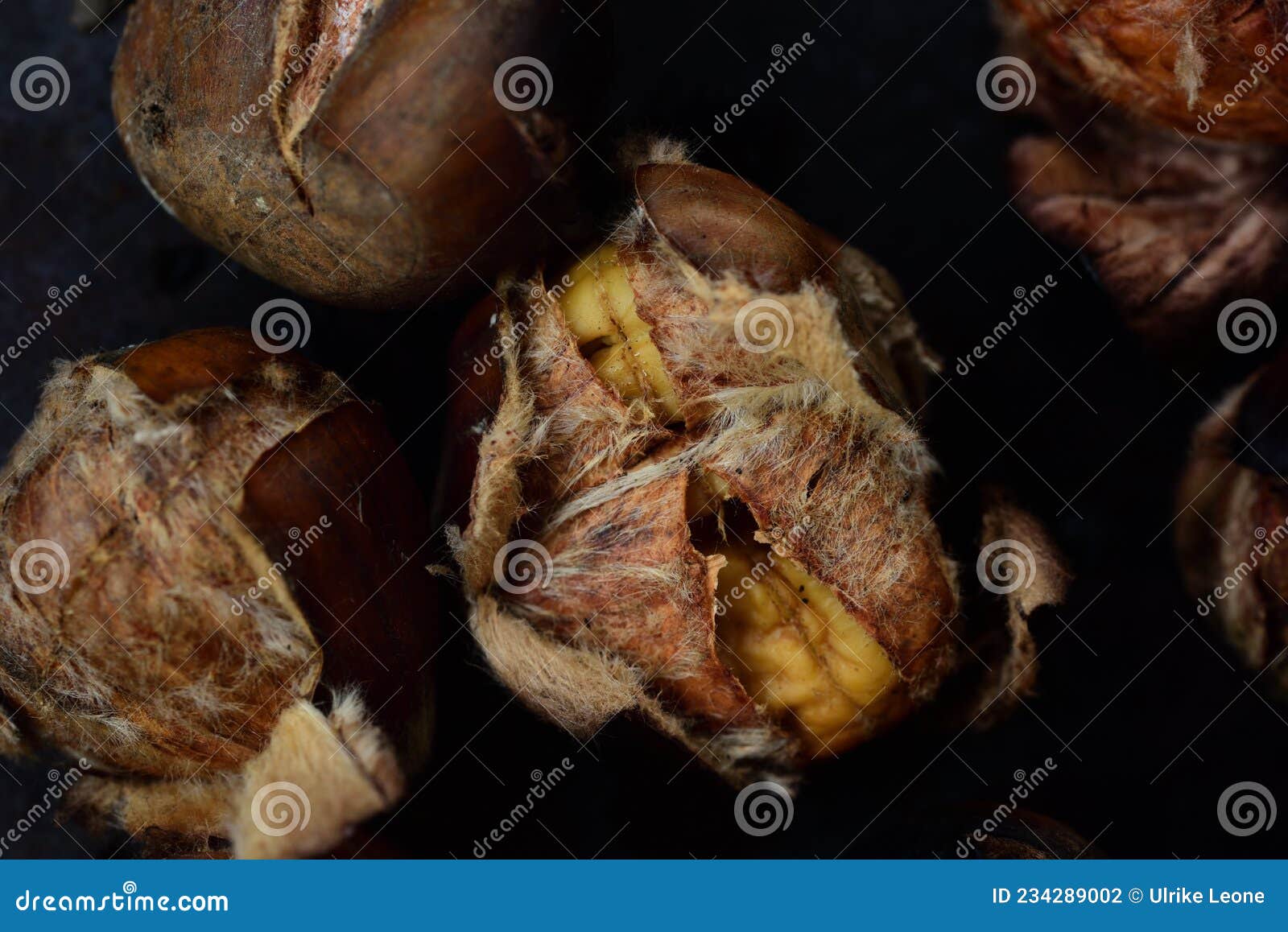 Close Up of Fresh Roasted Chestnuts for Eating Lying in a Dark Pan ...