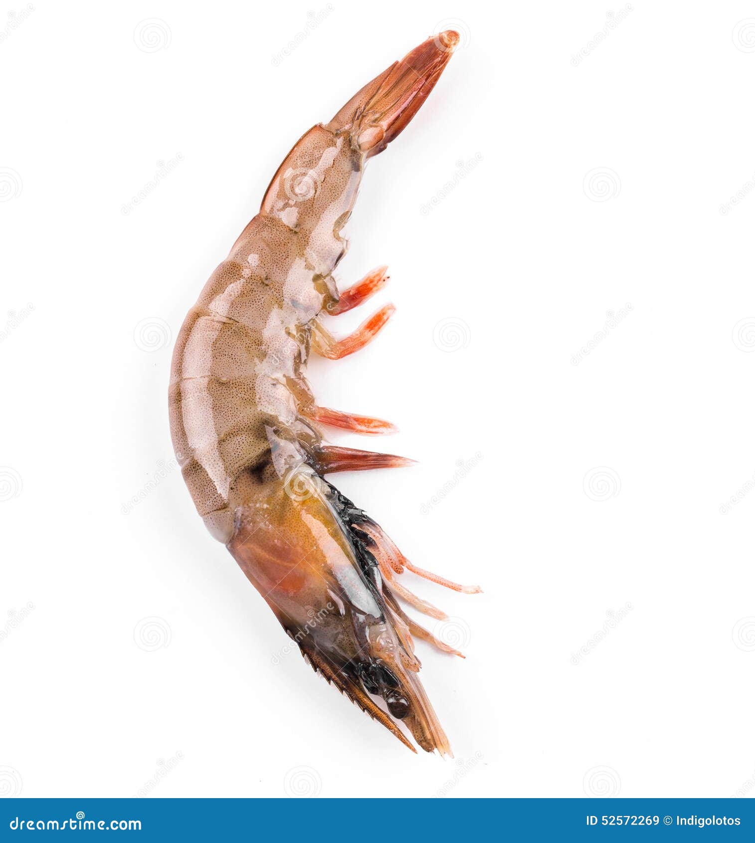 Close up of fresh shrimp. stock image. Image of gourmet - 52572269