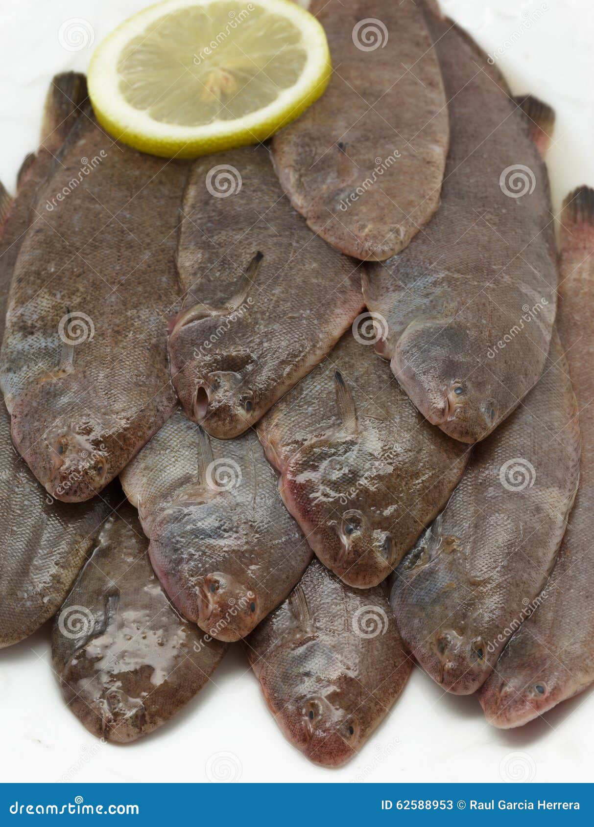 Close Up of Fresh Small Sole Fishes on Dish Stock Image - Image of ...